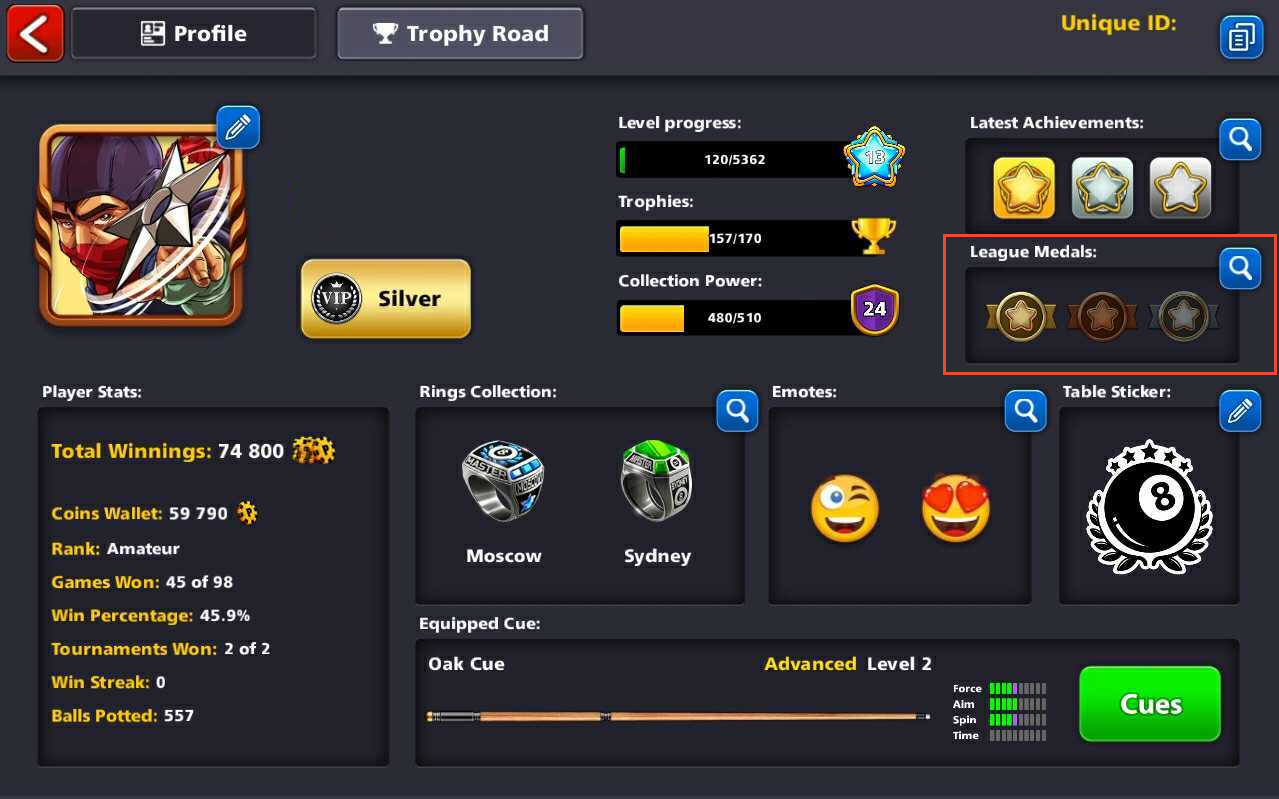 🎱 8 Ball Pool Leagues – Miniclip Help and Support