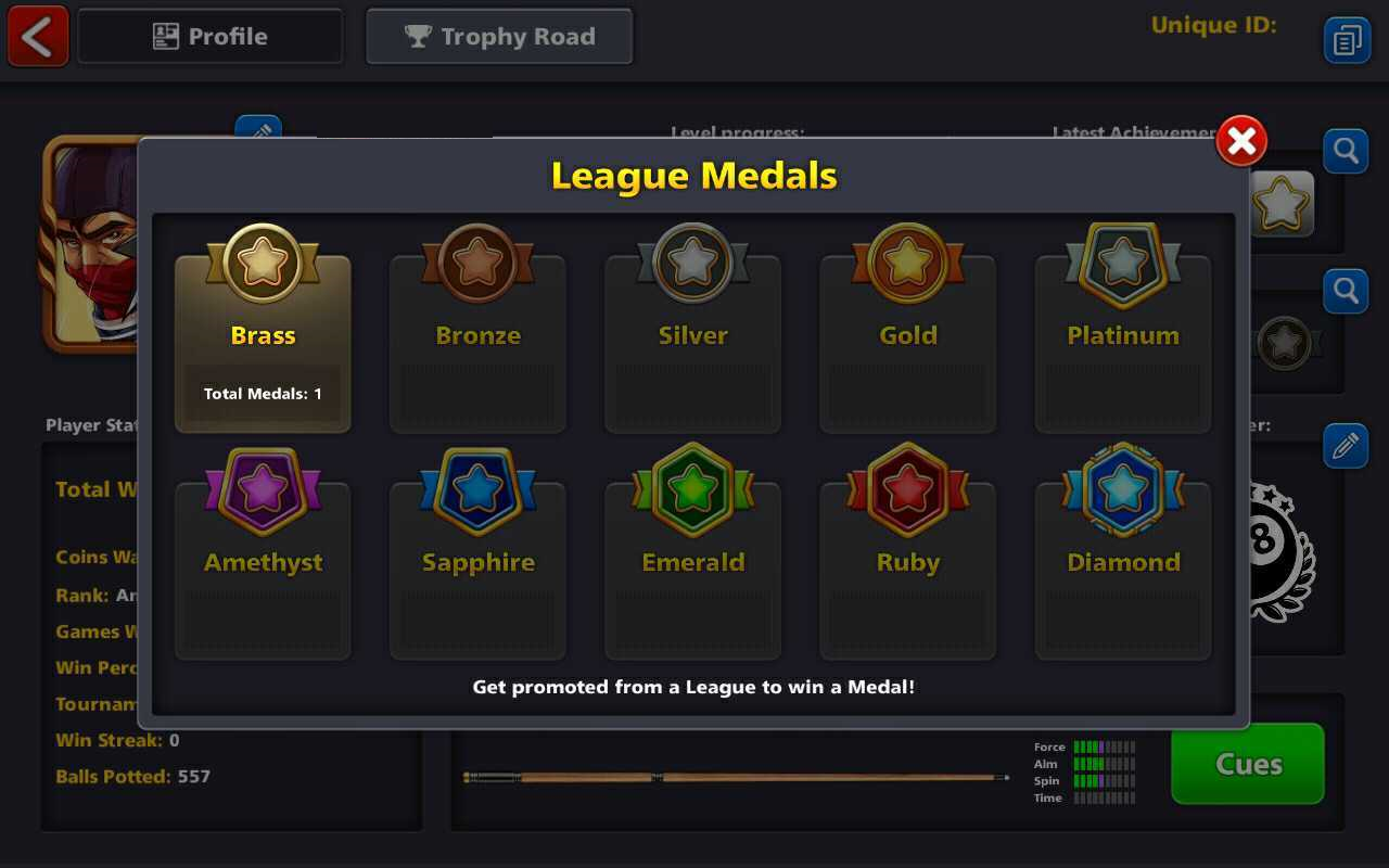 🎱 8 Ball Pool Leagues – Miniclip Help and Support